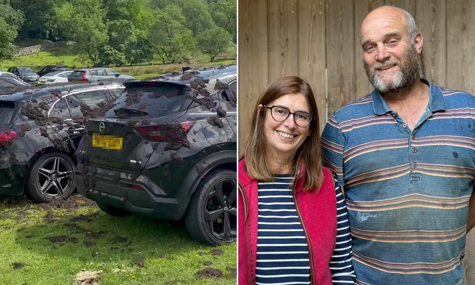 Revealed: Farmer who sprayed slurry over luxury cars because urban day ...