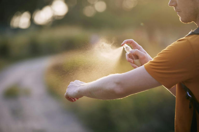 Mosquitoes learn to link the smell of DEET with a blood meal – new study