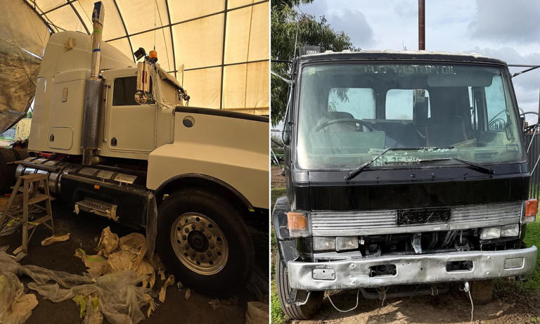 Man who allegedly racked up $8,000 fuel thefts in Aussie city used fake ...