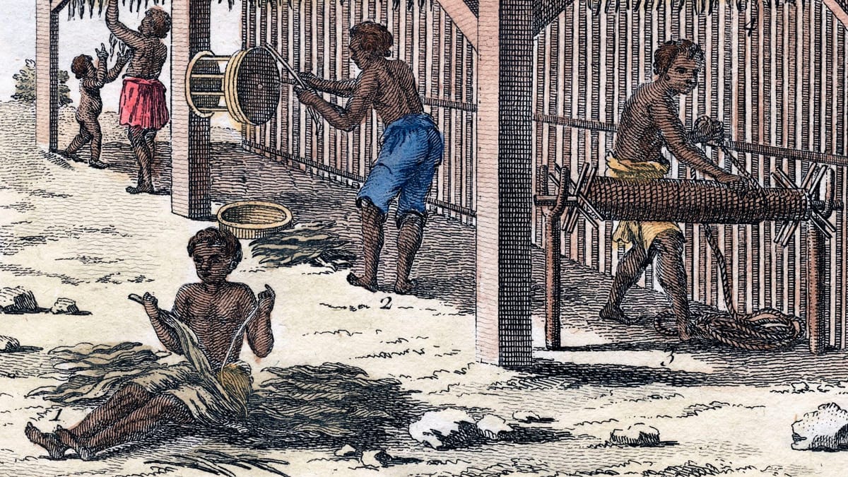 Frankreich streicht 340 Jahre altes Gesetz zur Sklaverei
