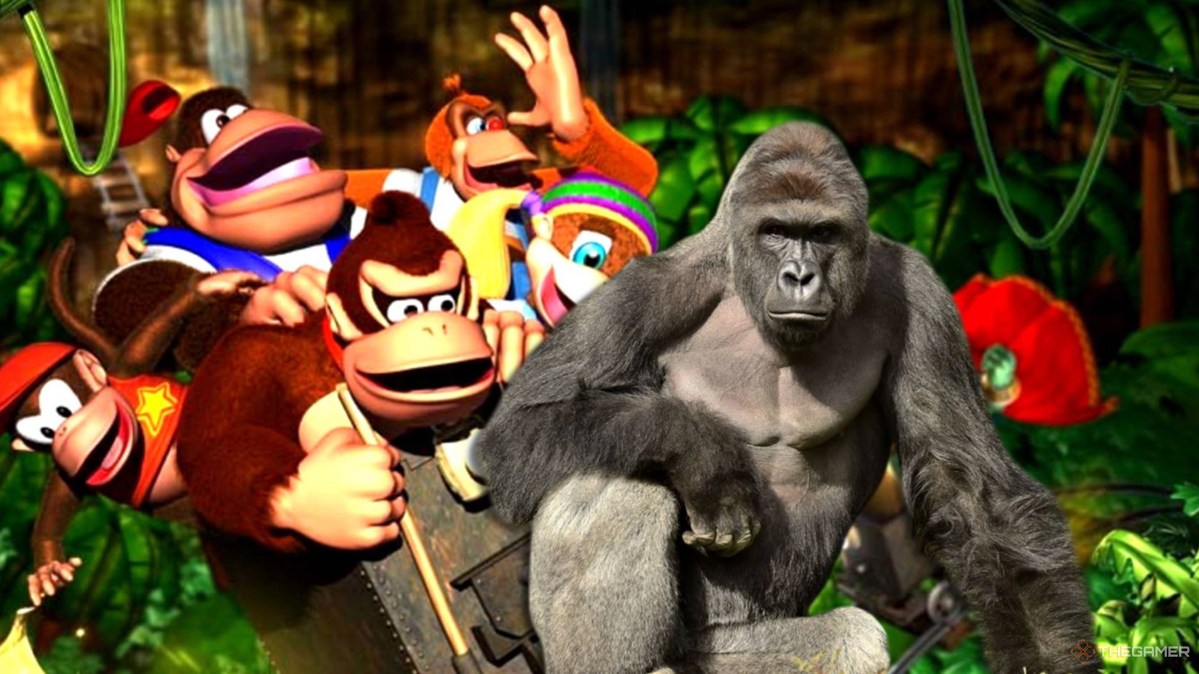 Donkey Kong 64 announced for NSO on the tenth anniversary of Harambe's ...