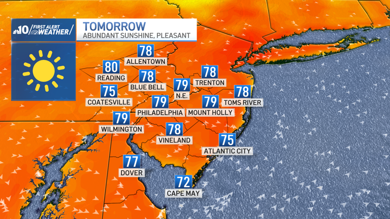 Picture perfect tomorrow