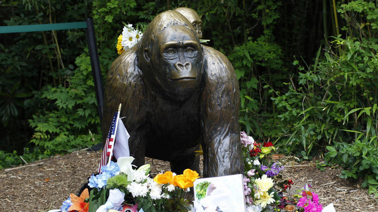 Bizarr módon emlékezett meg a Fehér Ház Harambéról, a lelőtt gorilláról