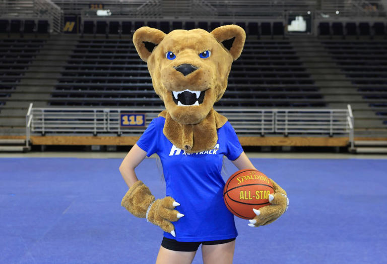 Allison Reid lived secret double life at Hofstra as runner — and mascot