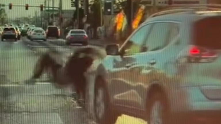 Video appears to show Las Vegas man hit at Chinatown crosswalk