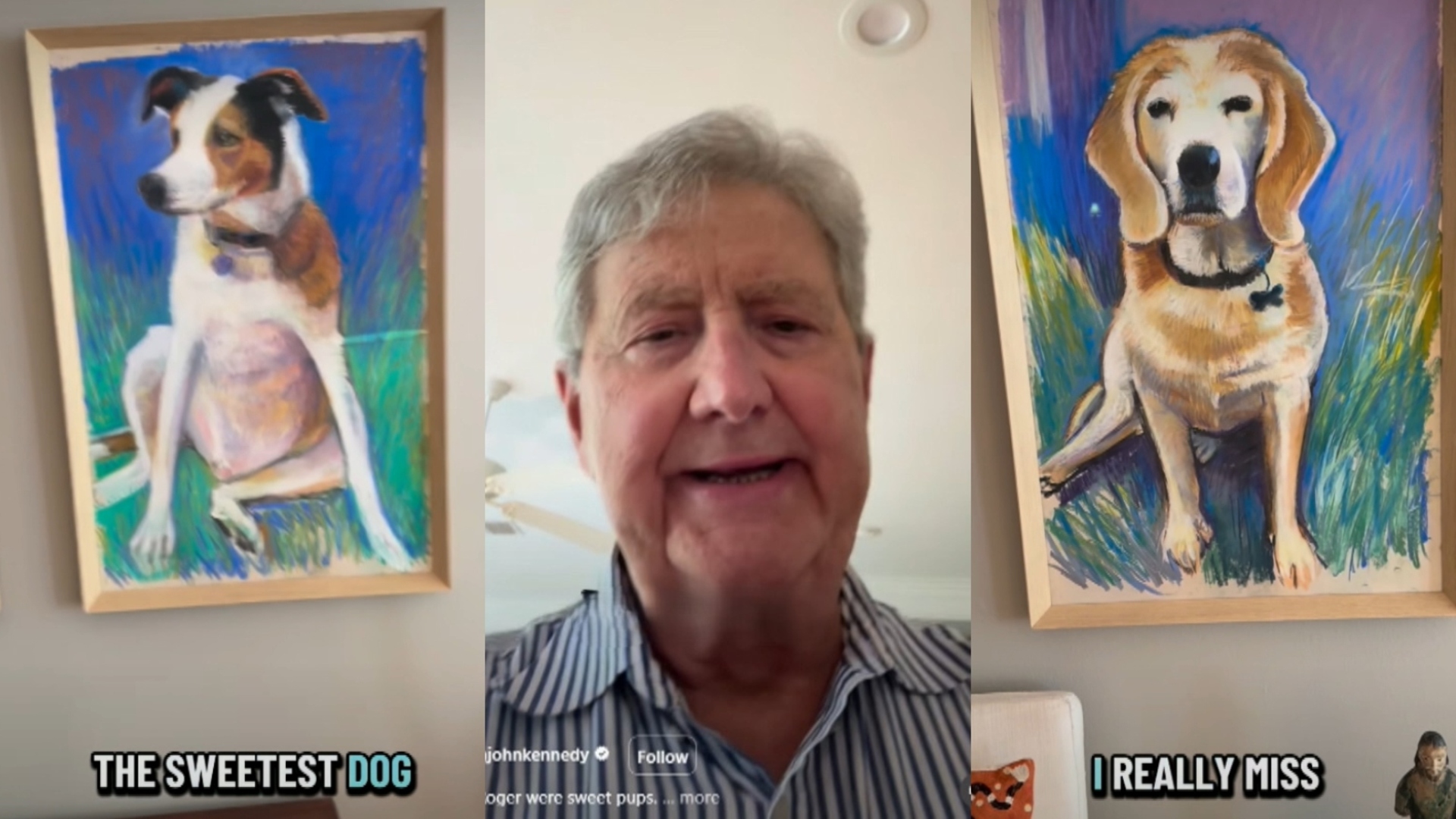 John Kennedy shows lighter side in viral dog painting video