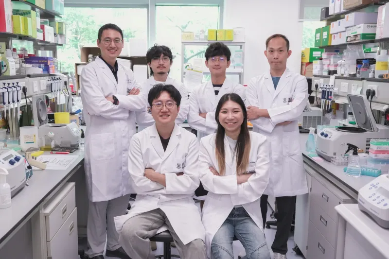 HKU develop RNA 'cut-and-patch' tool for treating neurodegenerative ...