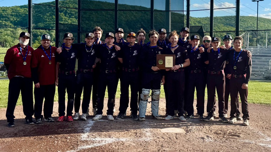 Elmira wins second-straight Section IV baseball title, playoff scoreboard