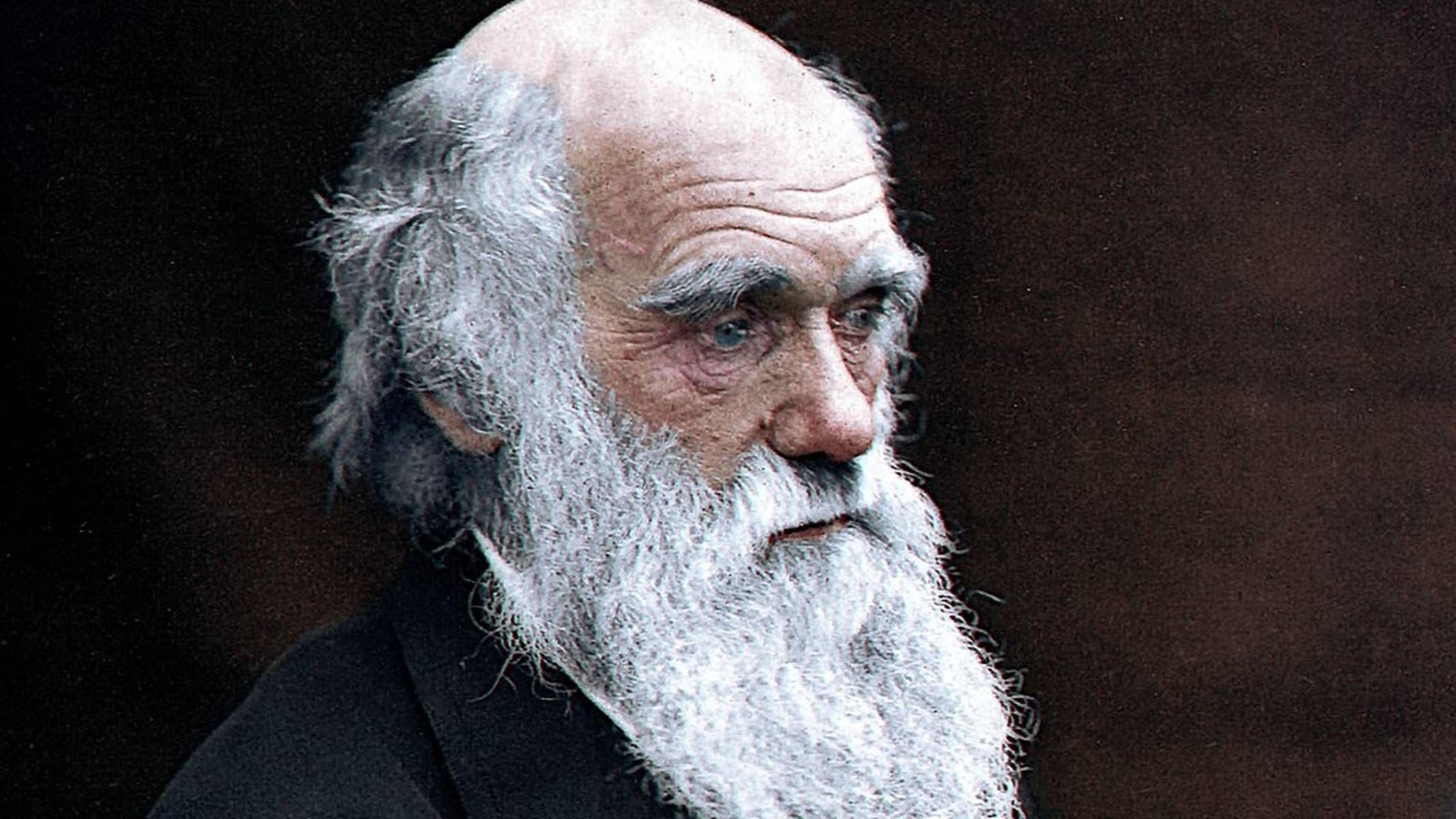 Charles Darwin zkoumal mnoho zvířat. Všechna je i ochutnal. Co všechno ...