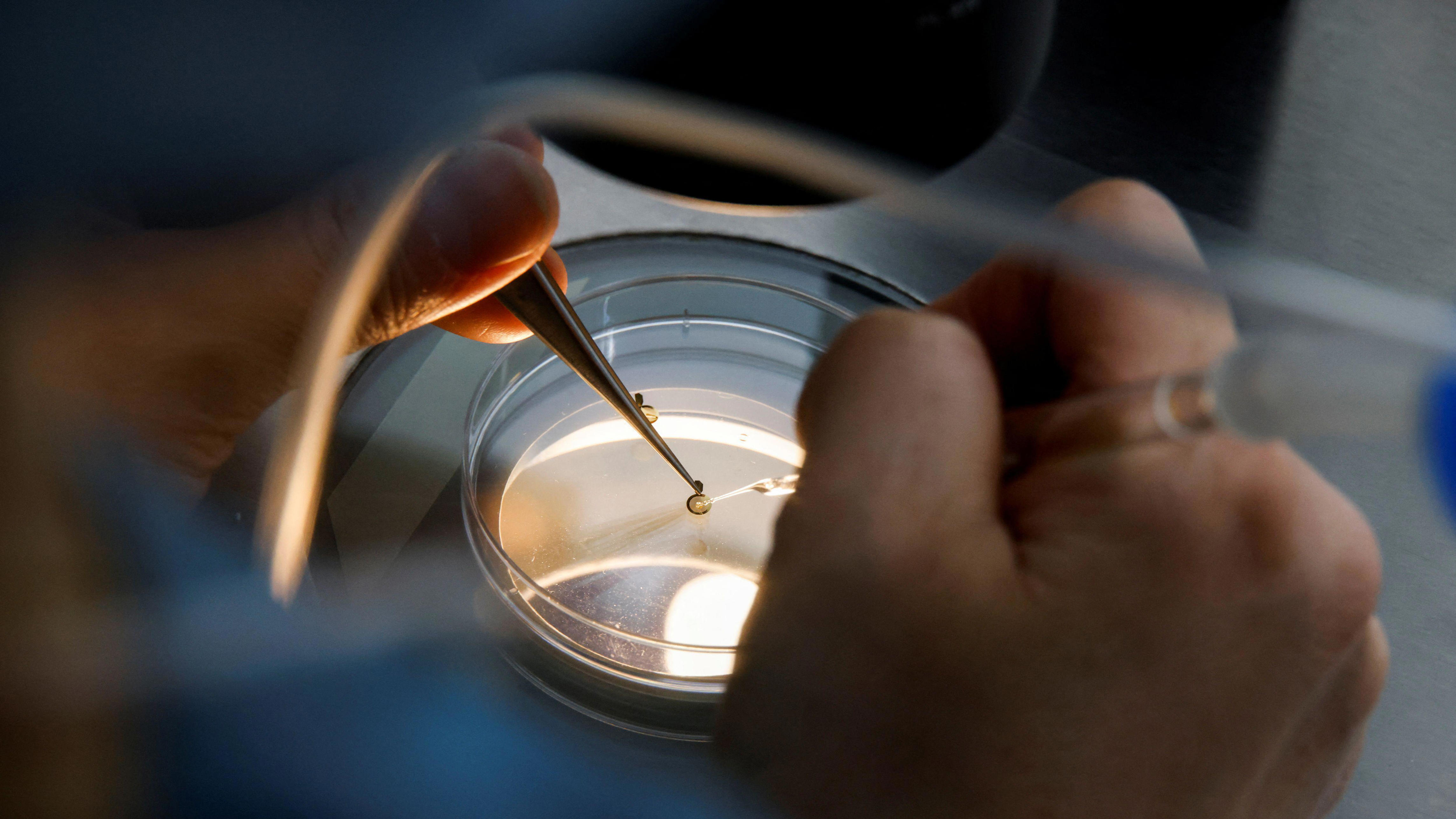 Why are so many babies born by IVF in Jersey?