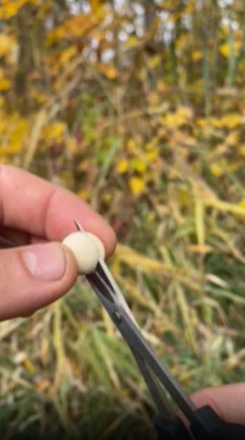 Carp rig setup secrets for bigger catches