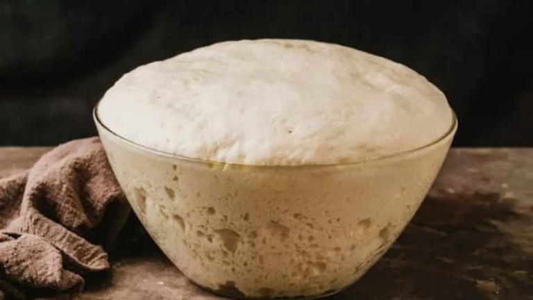 Wet grinder guide: How to approach idli vs vada batter