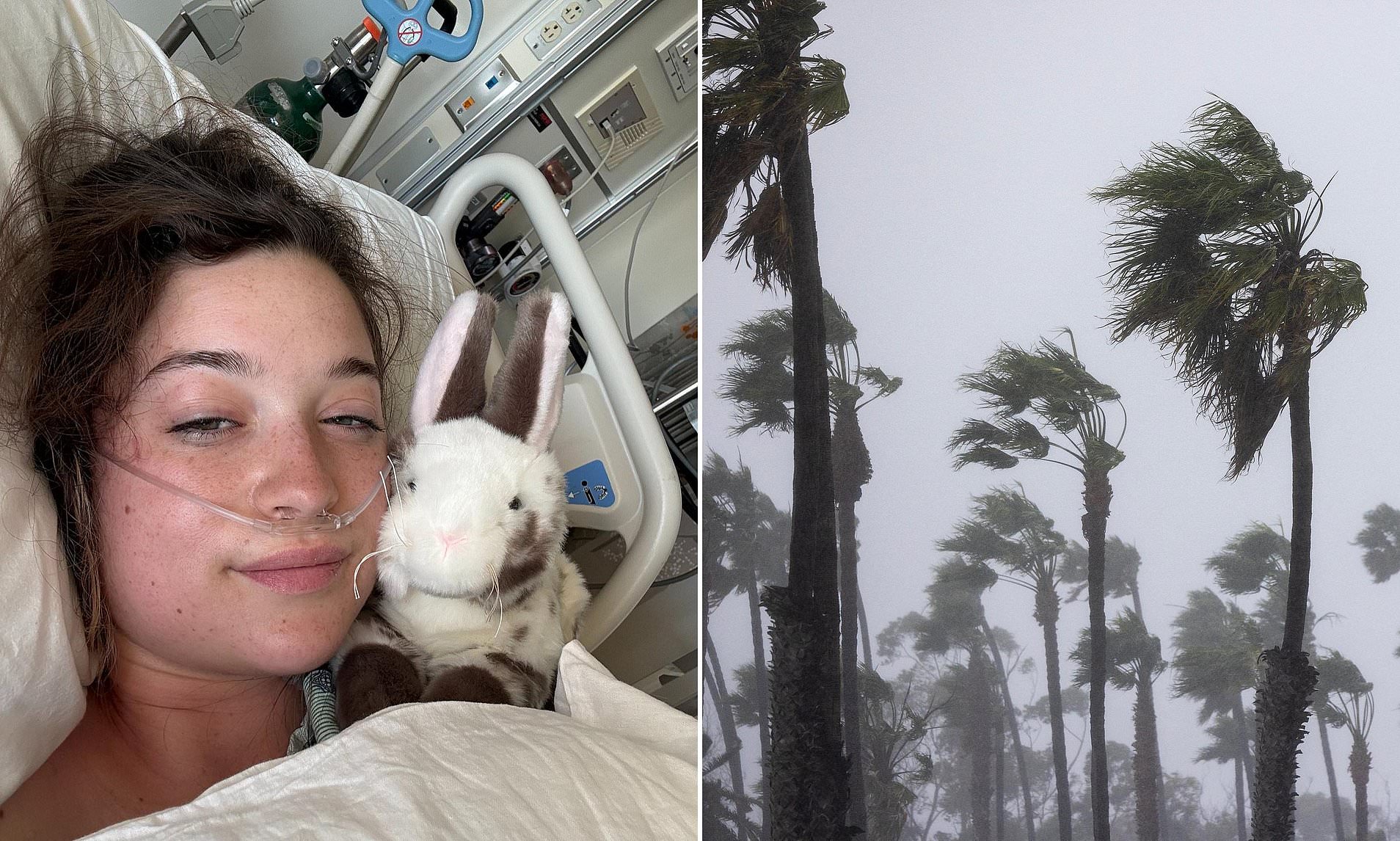 Woman, 22, left paralyzed after being struck with huge tree branch ...