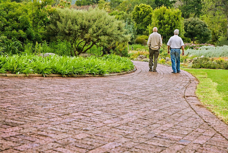«Arrivare a 60 anni senza amici stretti non è segno di freddezza»: il ...