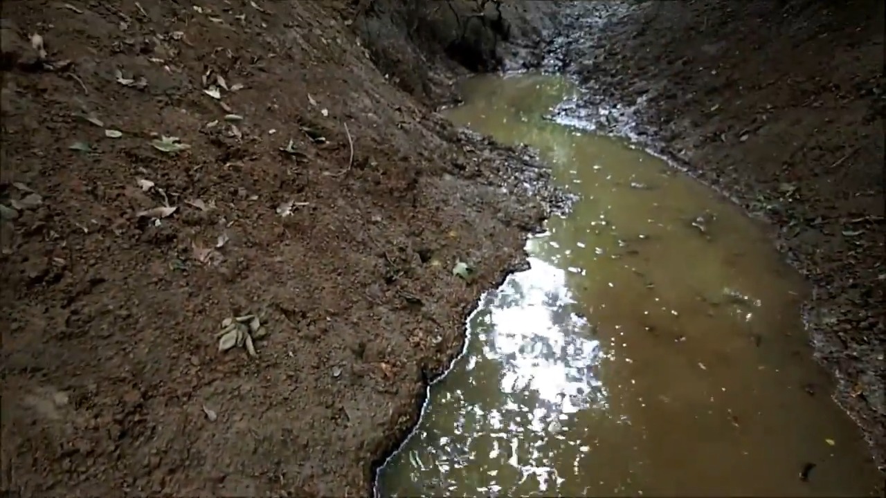 He stopped to look for arrowheads, then found fresh bear tracks in the mud