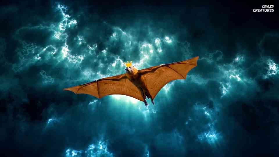 This giant flying fox looks like a monster from a horror movie