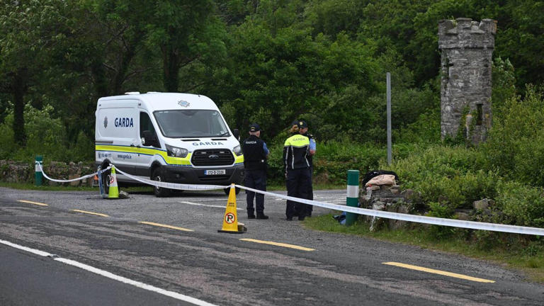 Mother killed near Clifden centre for asylum seekers named as garda ...