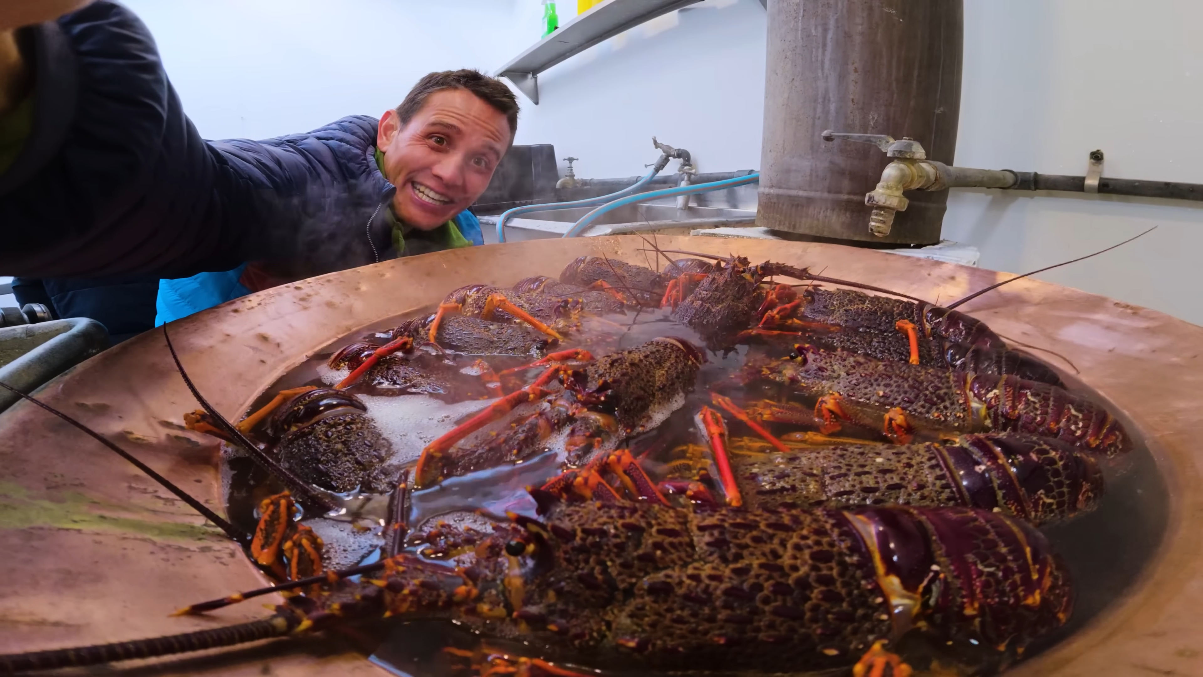 This New Zealand crayfish was boiled alive by the ocean and served ...