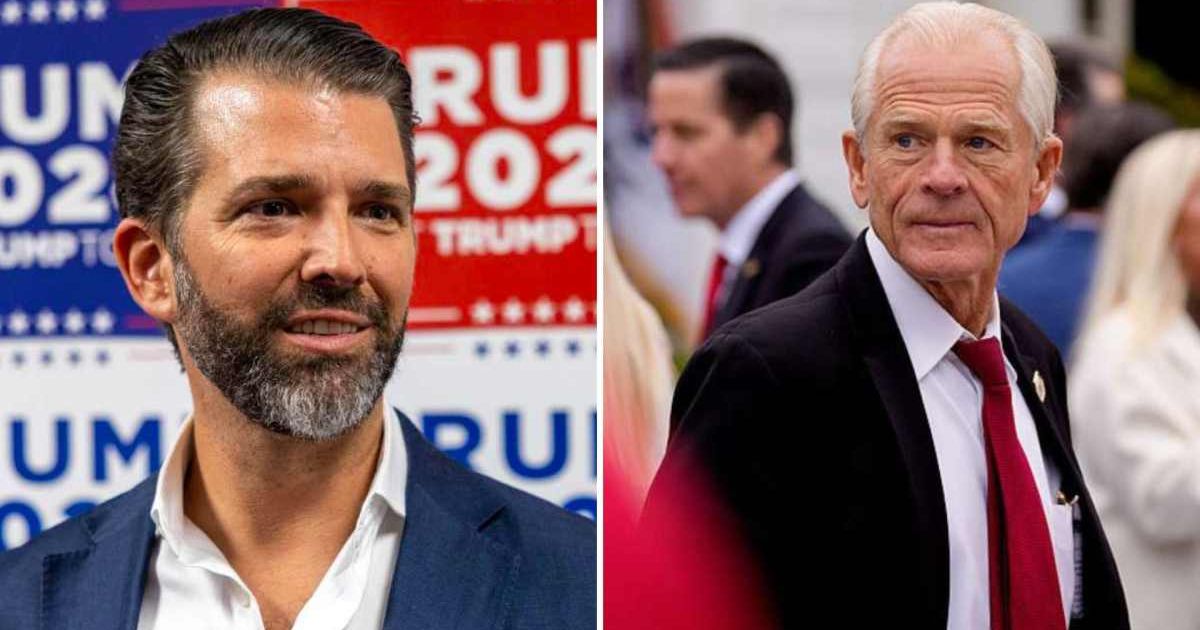Peter Navarro fires back after ProPublica report ties him to $620M ...