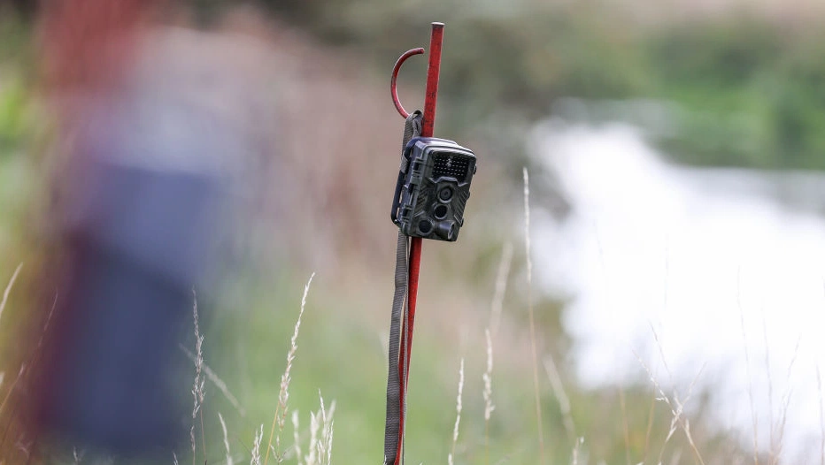 Study finds human presence alters wildlife movement patterns