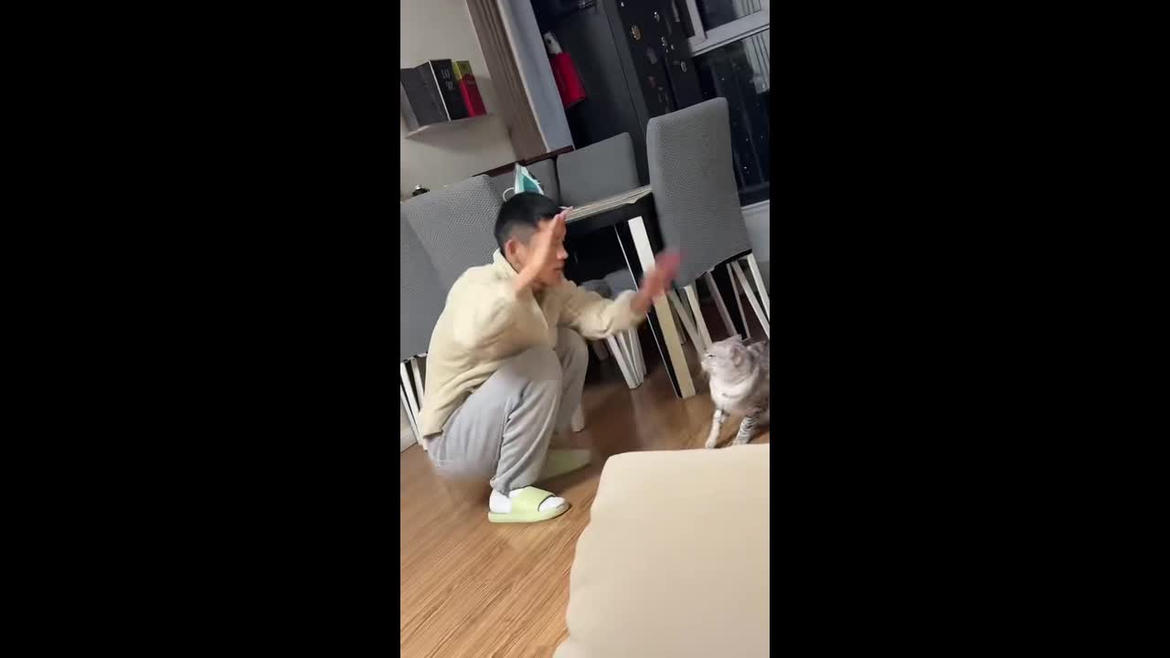 Man and cat engage in playful scuffle during indoor moment in Shaanxi ...
