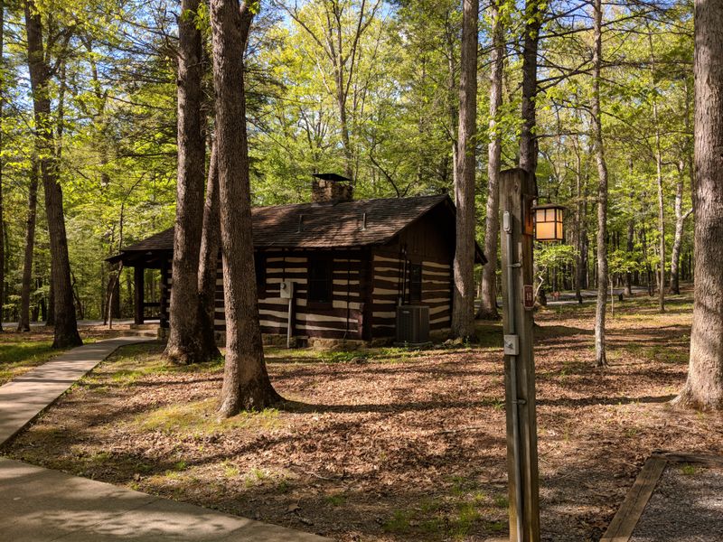 These 10 secluded Virginia cabins are locals’ favorite off-season getaway