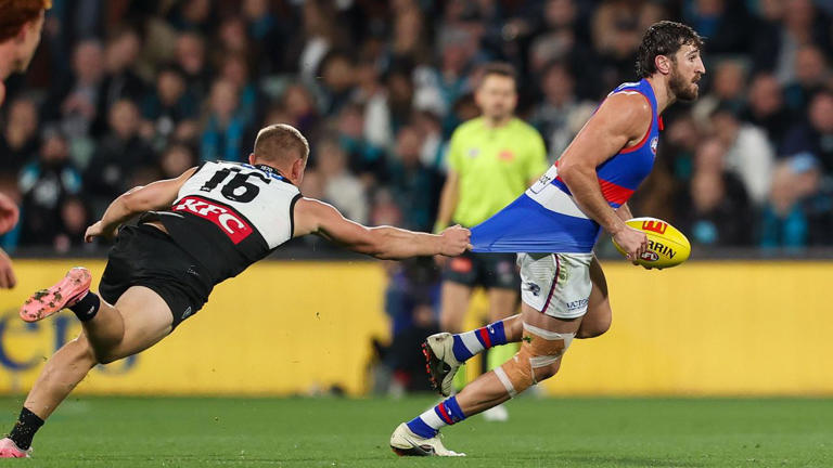 Magpies mull tagging option to keep top dog on leash