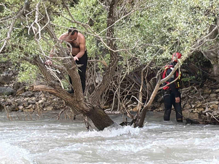 Pülümür Çayı’nda mahsur kalan şahsı jandarma kurtardı