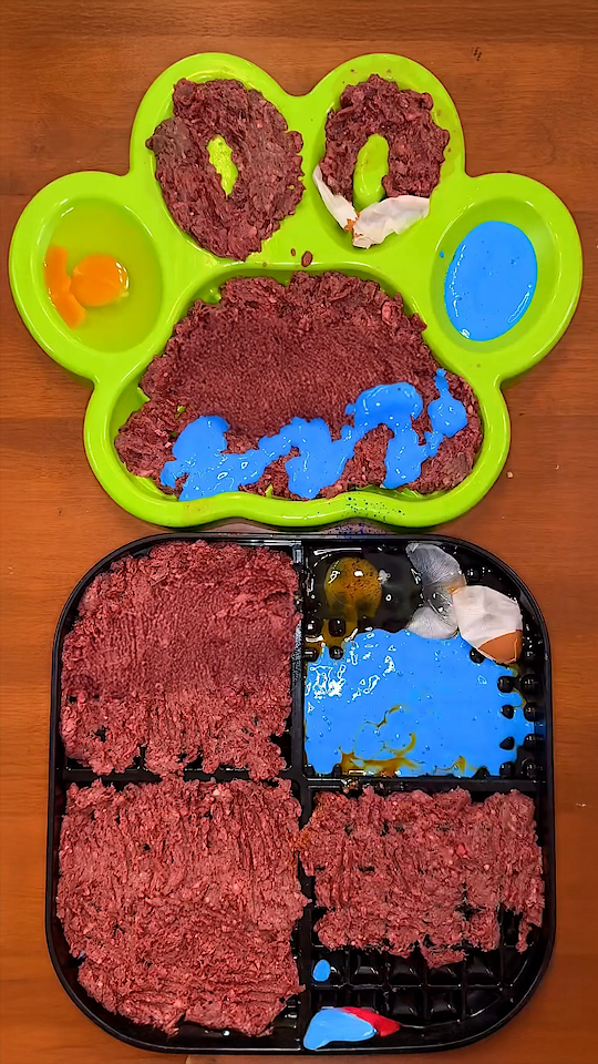 Serving my dog raw food 🥩