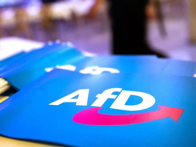 Brandmauer-Debatte in Kassel: Politologe kritisiert die Aufregung ...