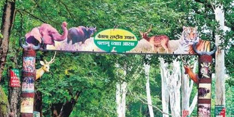 NGT issues notices over illegal commercial construction in Palamu Tiger ...