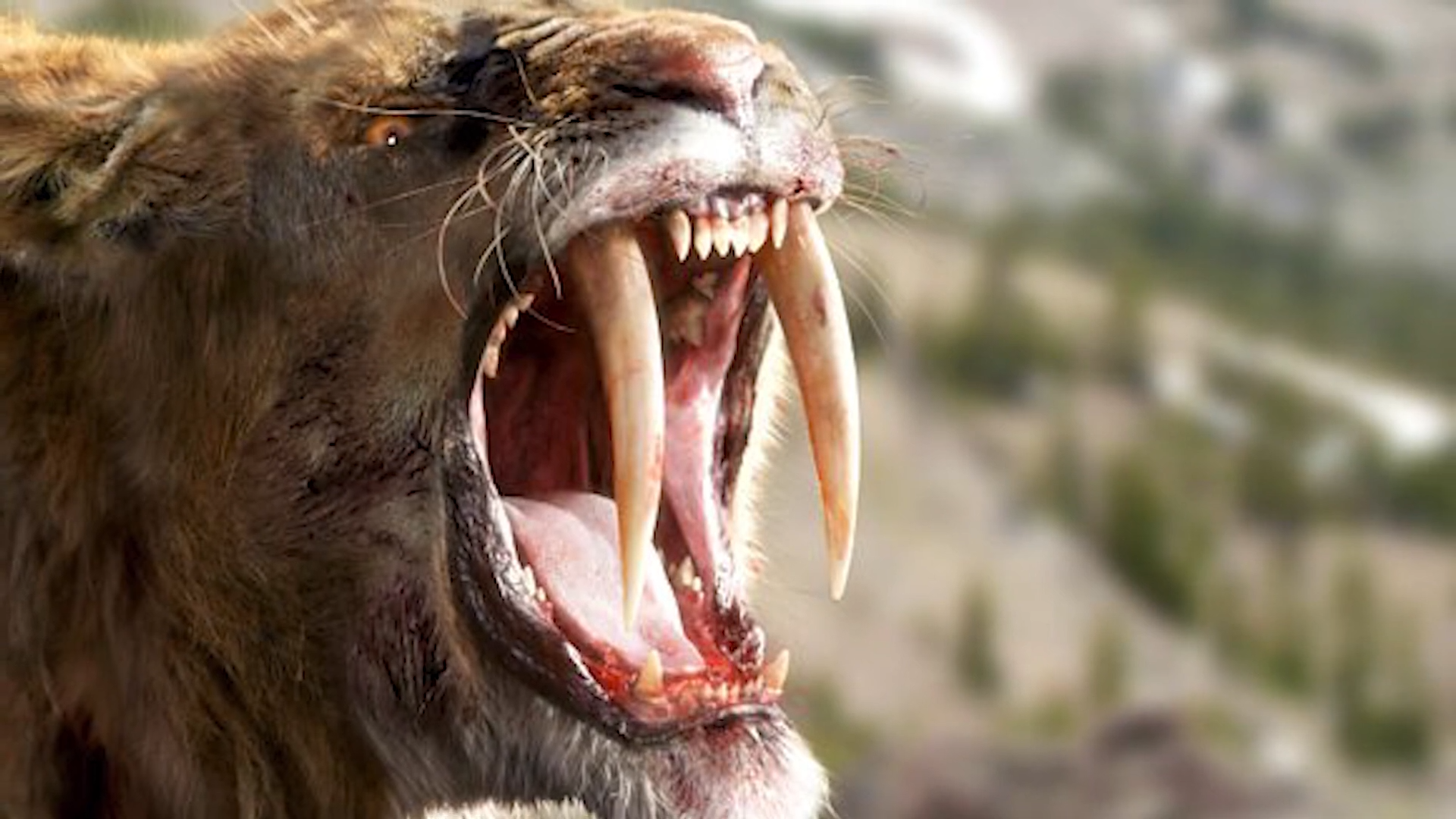 Watch what happens when a giant saber-toothed cat hunts early humans