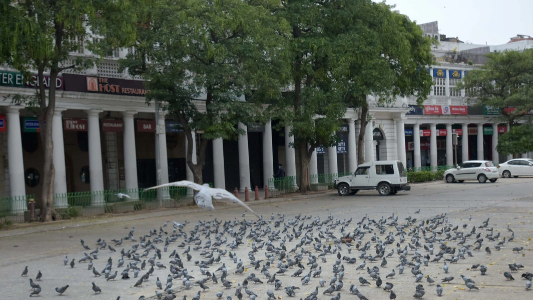 Study finds human presence alters wildlife movement patterns