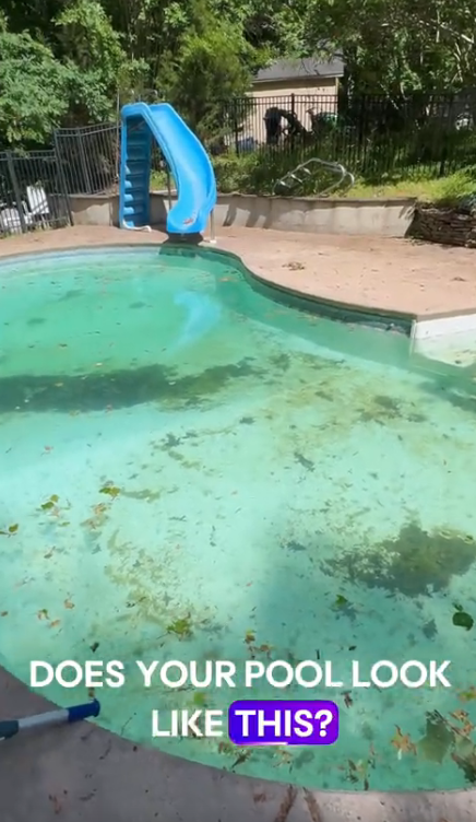 Spino E1 robotic pool cleaner review