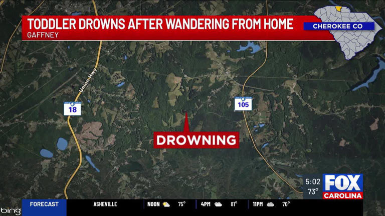 Coroner identifies toddler who drowned after wandering from Gaffney house