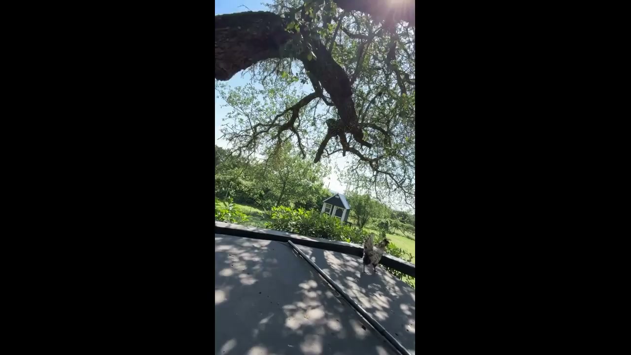 Squirrel steals a nut right from a man’s hand!