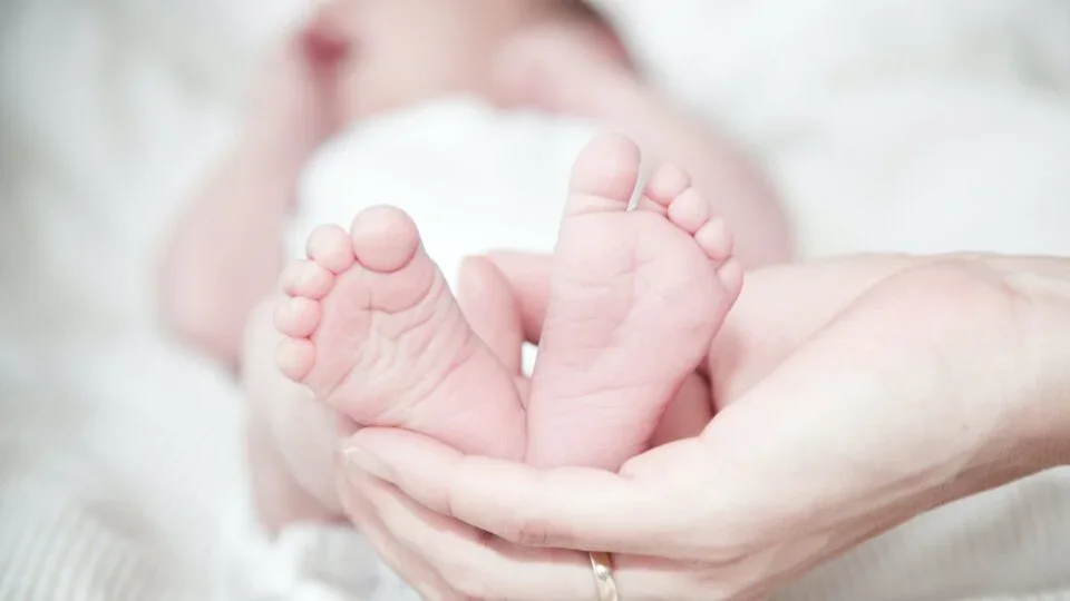 Morocco fertility rate drops to historic low