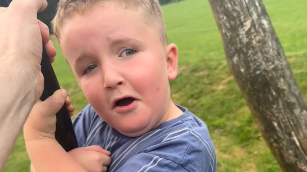 Kid instantly regrets his decision to try out the zip-wire at park