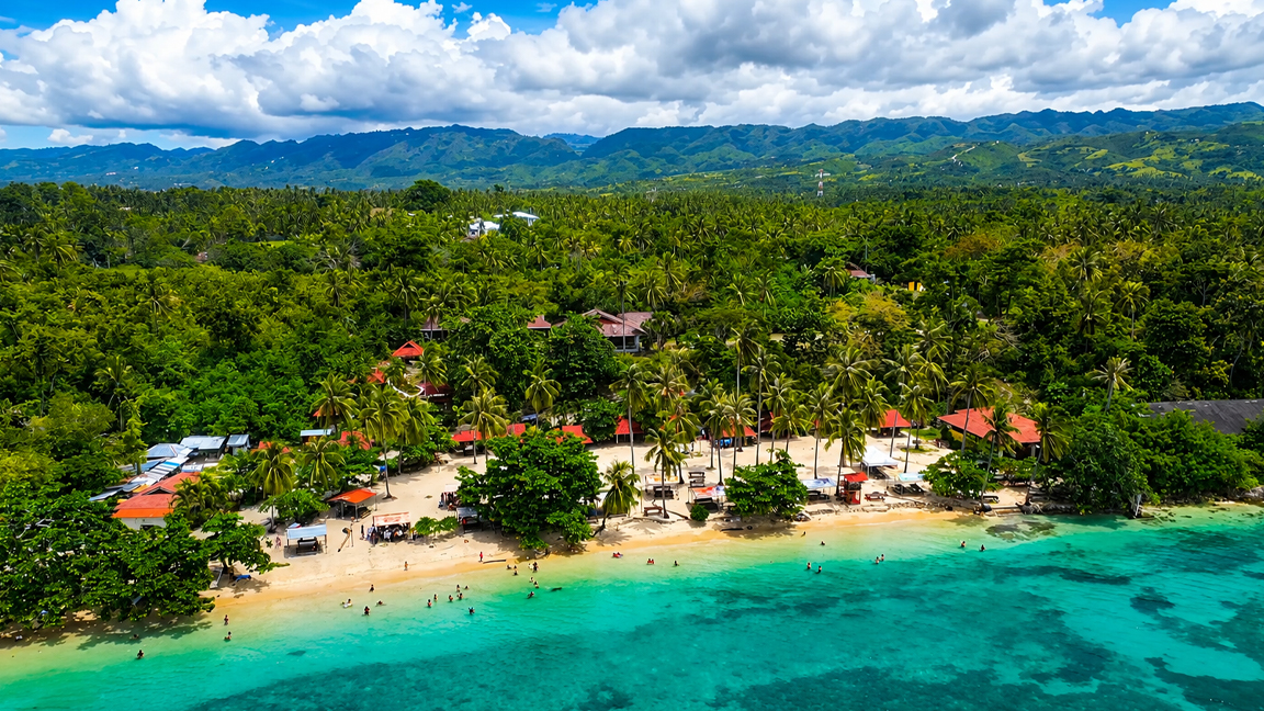 The secret beach hidden beneath thousands of palm trees