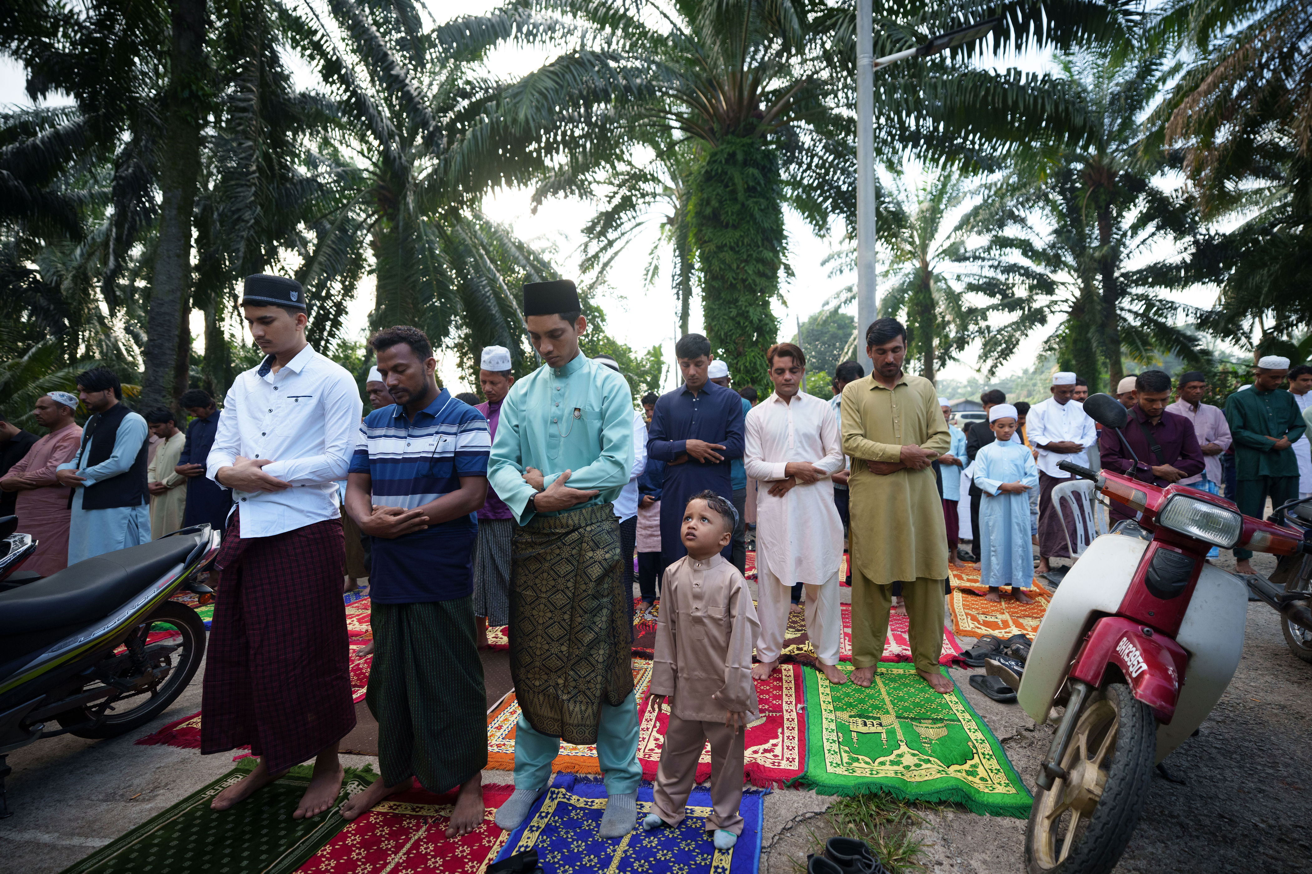 Man killed by buffalo during Eid al-Adha sacrificial ritual