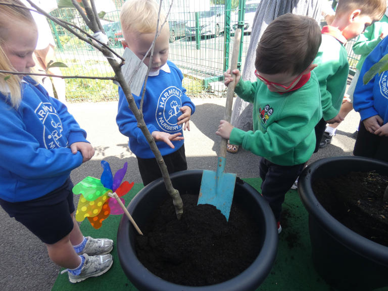 Tree planting celebrates successful partnership between Holy Child ...