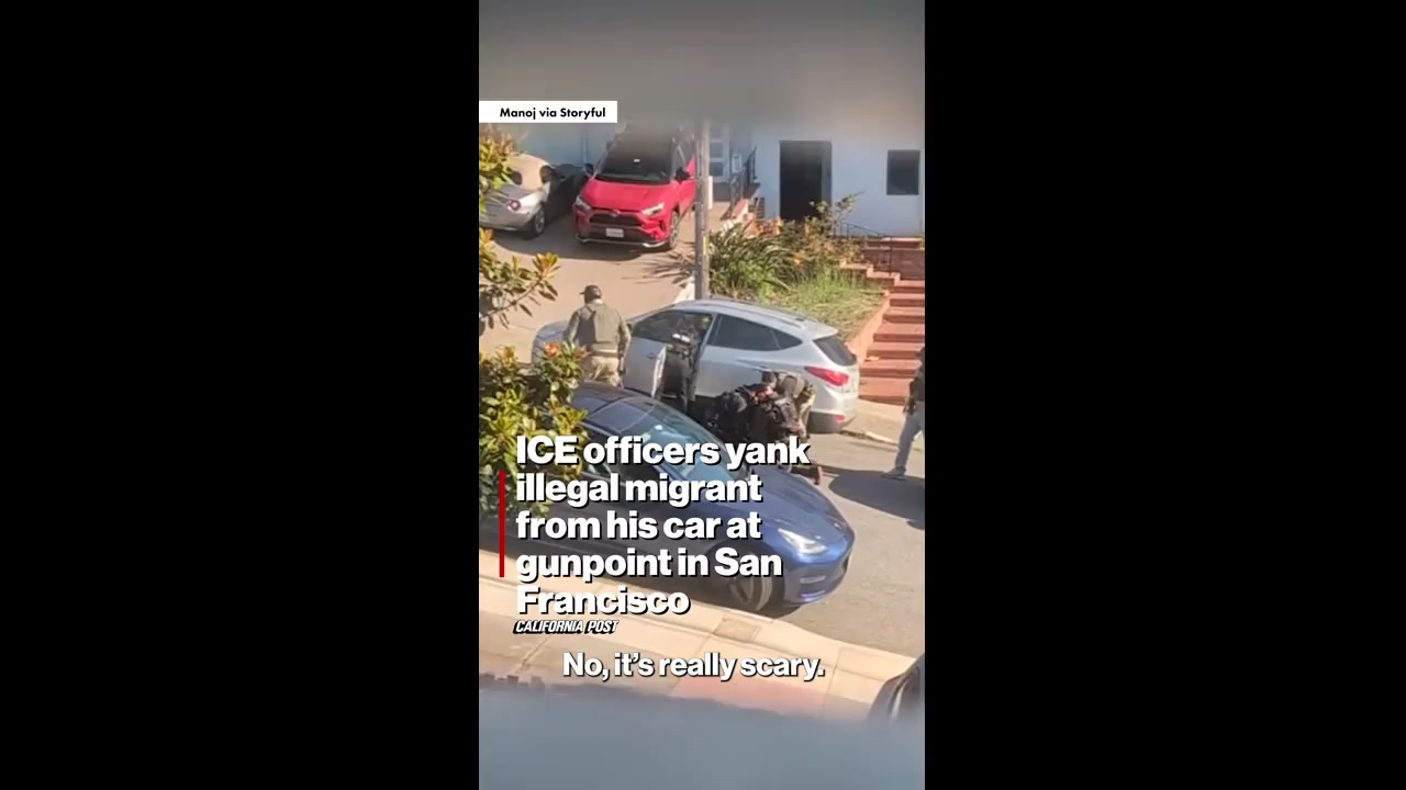 ICE officers yank illegal migrant from his car at gunpoint