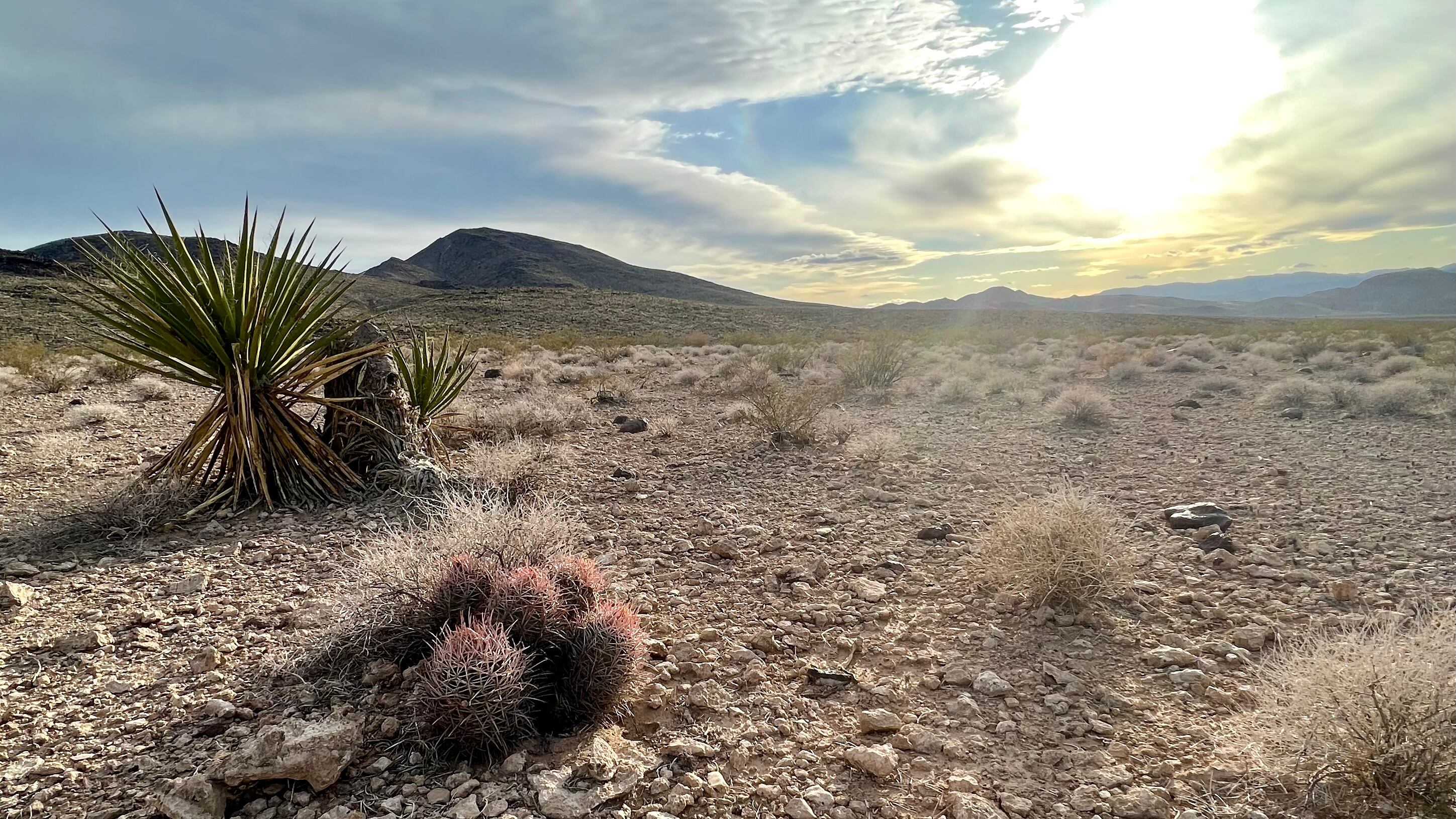 Nevada lawmakers to announce construction of massive water pipeline ...