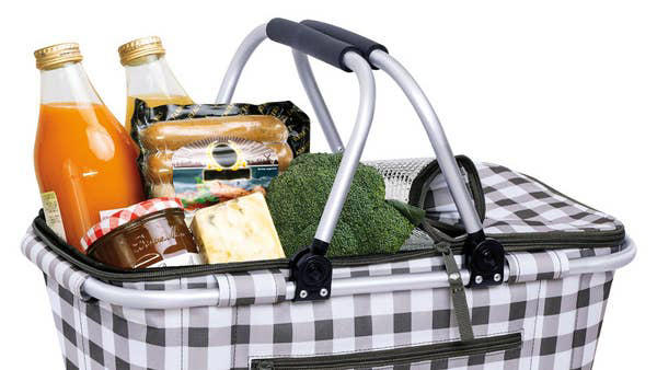 Aldi's $10 travel essential is a must-have for pet play dates