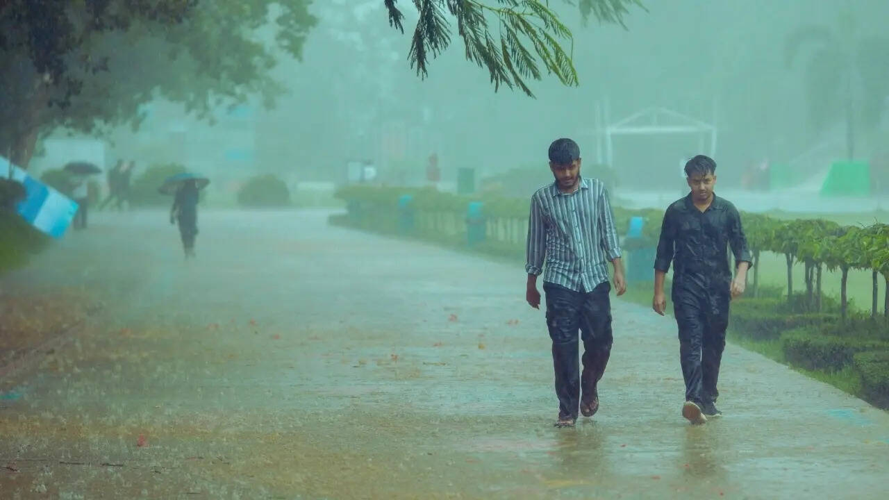IMD warns of severe thunderstorms, hailstorms and travel disruptions ...