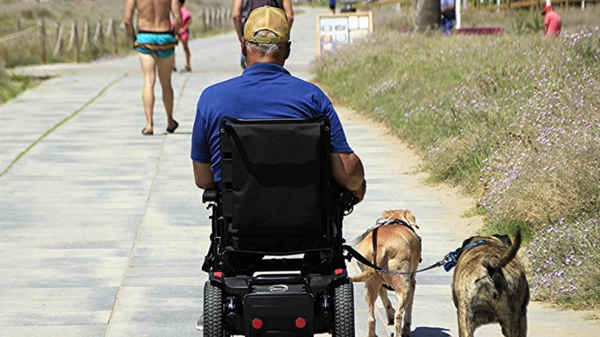 El gran vínculo entre el perro y el ser humano