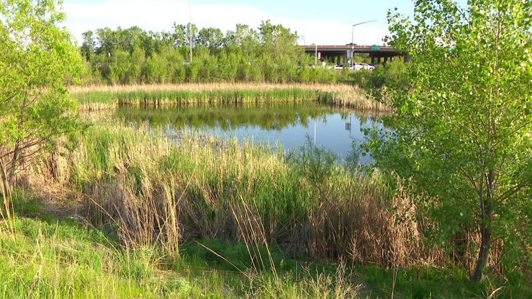 Man arrested in connection to body found in drainage pond Tuesday ...