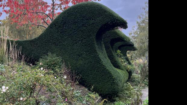 Two Oxfordshire gardeners recognised at topiary awards