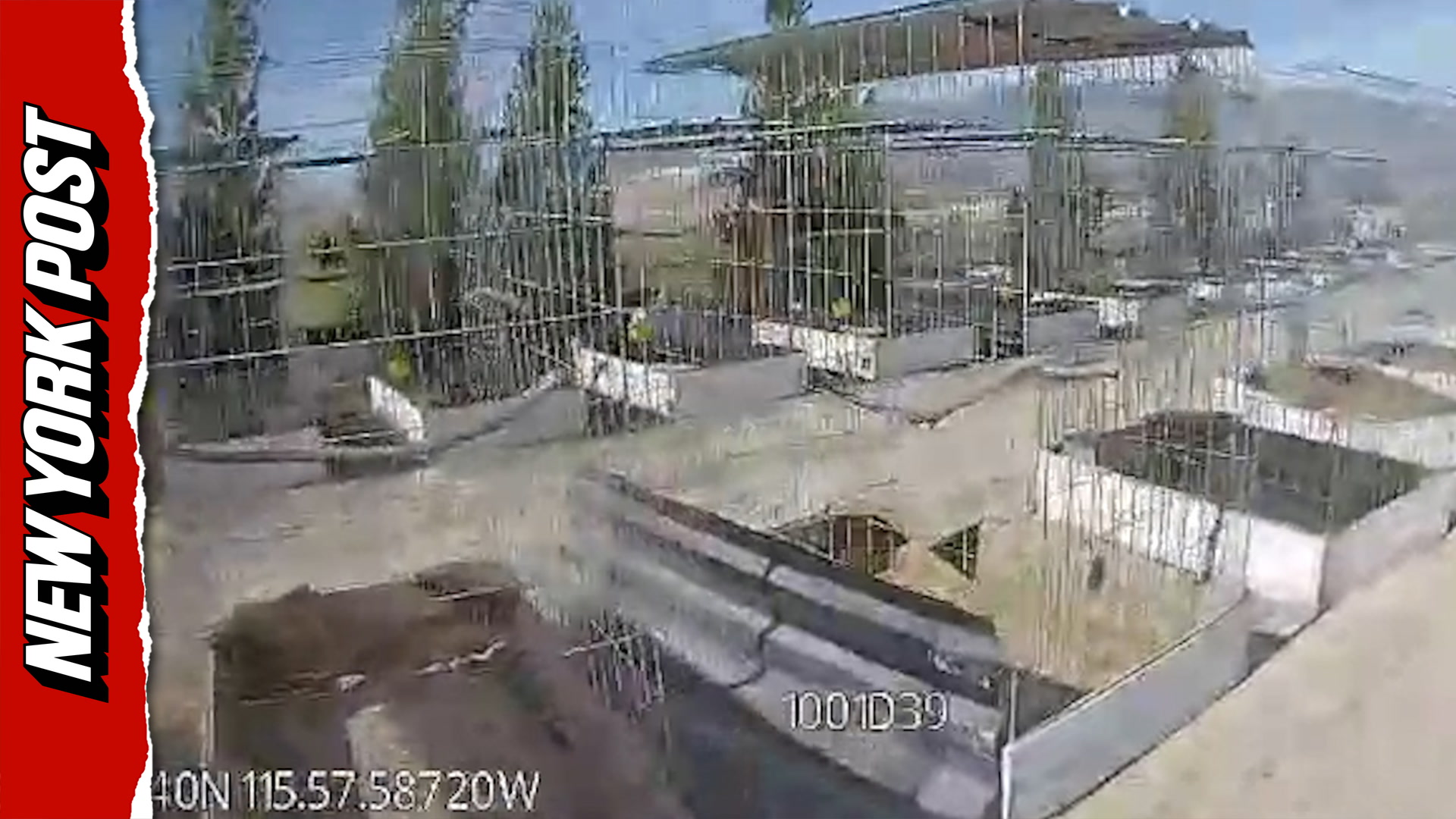 500 roosters saved in massive Nevada cockfighting raid