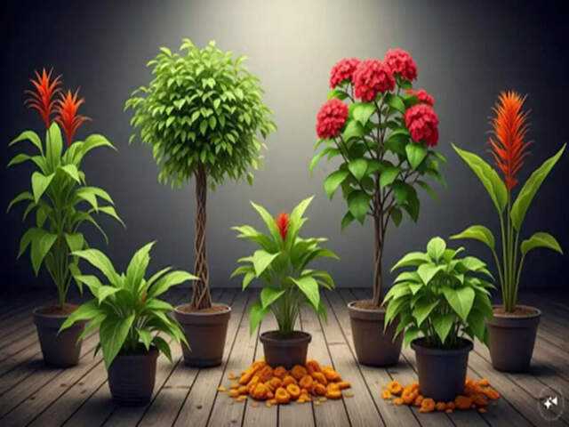 Plants to avoid planting at home: A guide to divine trees
